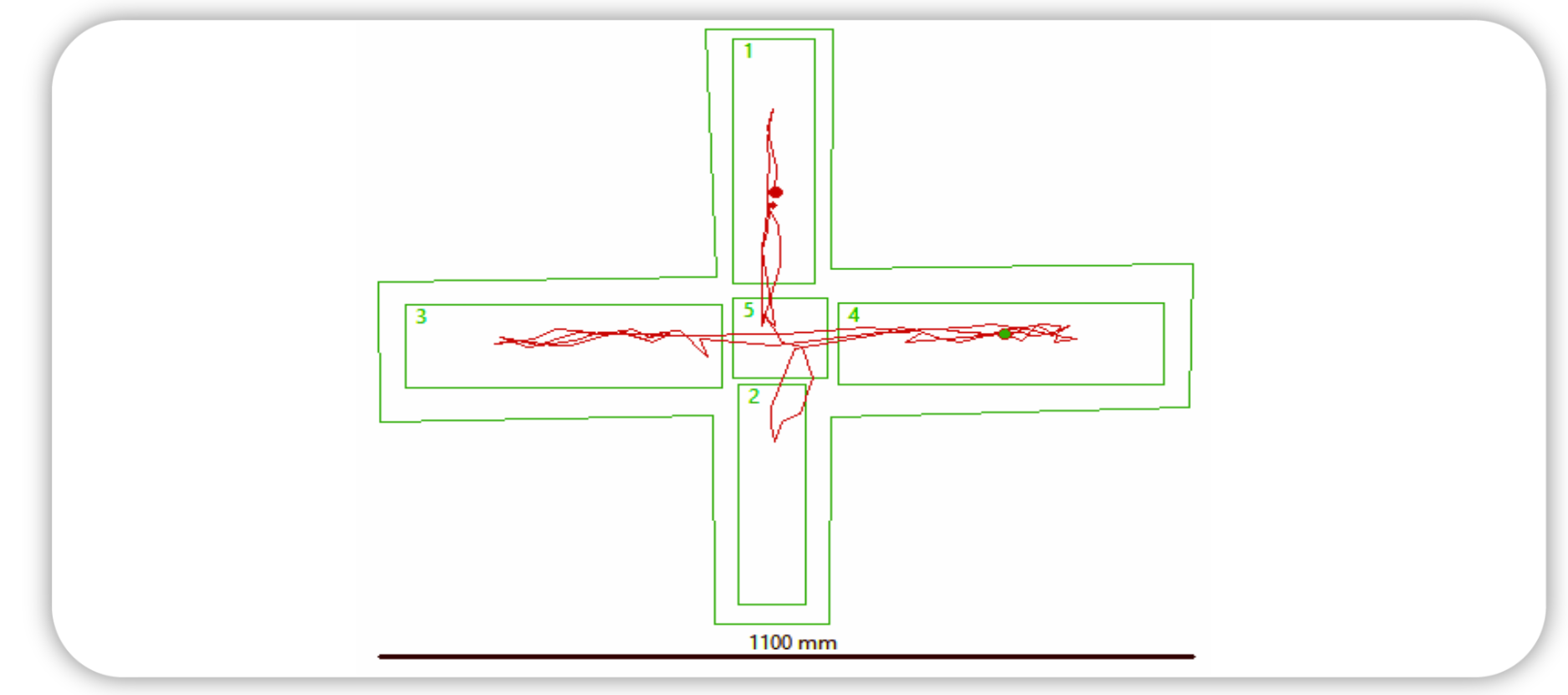 Orchid Scientific - Trackezi Video Tracking Software | All Maze video ...