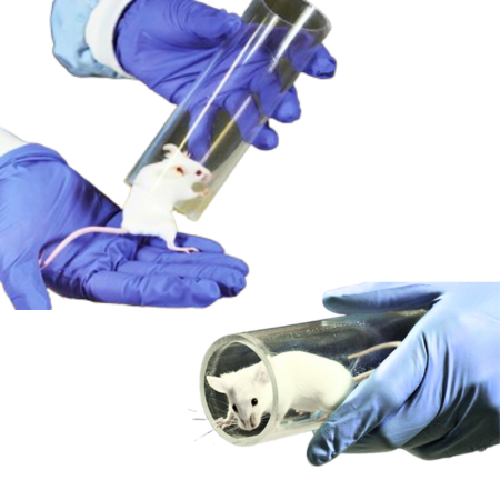 Animal Handling Tube - Mice and Rat - Orchid Scientific