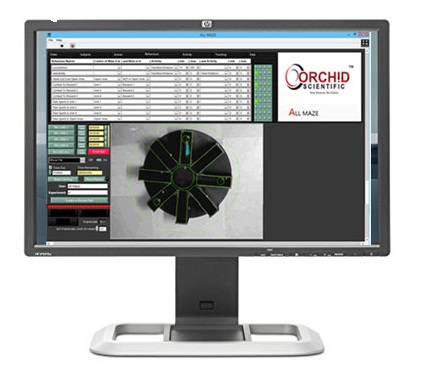 Elevated plus maze for Mice and Rat behavioural video tracking